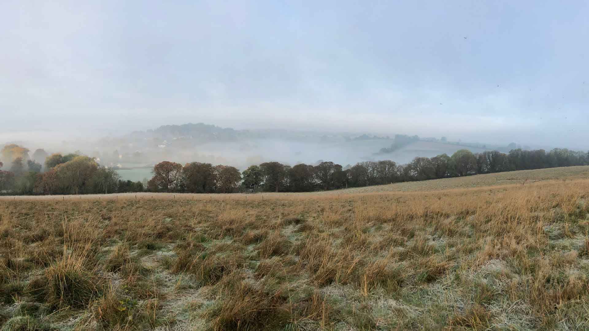 Berkhamsted Castle | Saving Castle Fields
